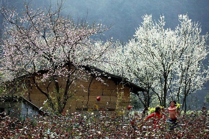 2 Days 1 Night in Mai Chau (Classic) - What Makes This Tour Stand Out?