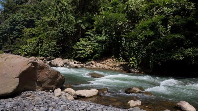 2 Days 1 Night Orangutan Trek Bukit Lawang - Key Points