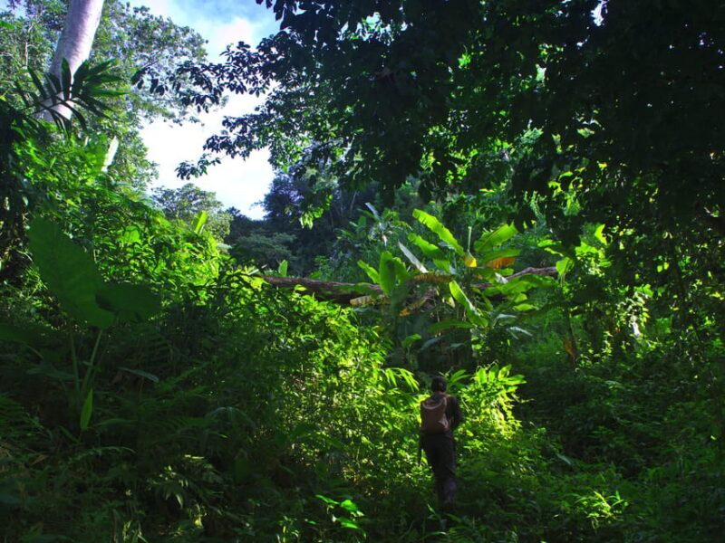 2 days 1 night private eco-trekking Akha & Lahu Chiang Rai - Who Will Love This Tour?