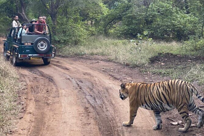 2 Days, 1 Night, Private Jaipur to Ranthambore Guided Tour - Introducing the 2 Days, 1 Night Private Jaipur to Ranthambore Guided Tour