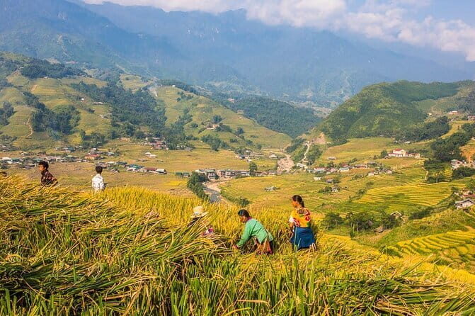 2 Days 1 Night Sapa Trekking Group Tour at 4 Star Hotel - What Travelers Can Expect From This Tour
