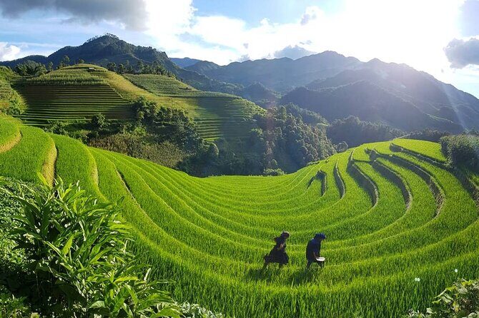 2 Days 1 Night Sapa Trekking Group Tour at Homestay - What Makes This Tour Stand Out