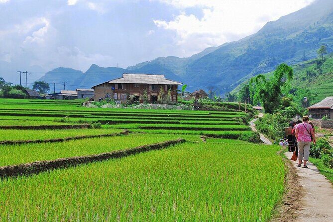 2 Days 1 Night Sapa Trekking Group Tour at Homestay - Who Should Book This Tour?