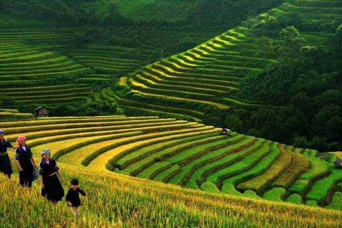 2 days 1 night Sapa trekking group tour at homestay - Transportation & Logistics