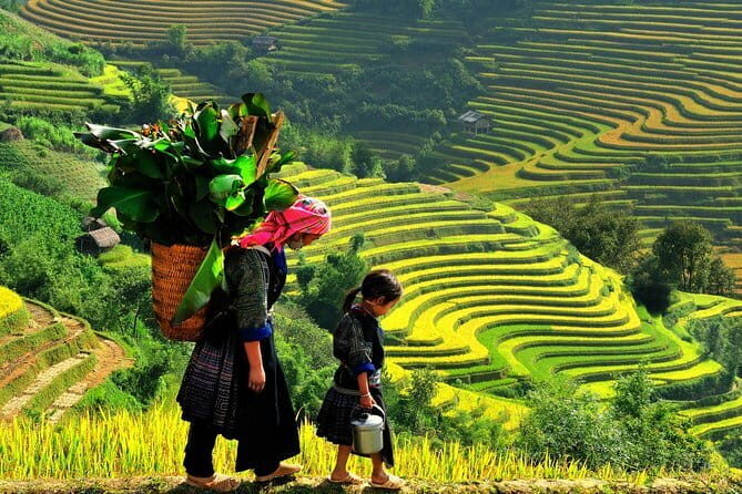 2 Days 1 Night Sapa Trekking Homestay from Hanoi - Summary of Benefits and Considerations