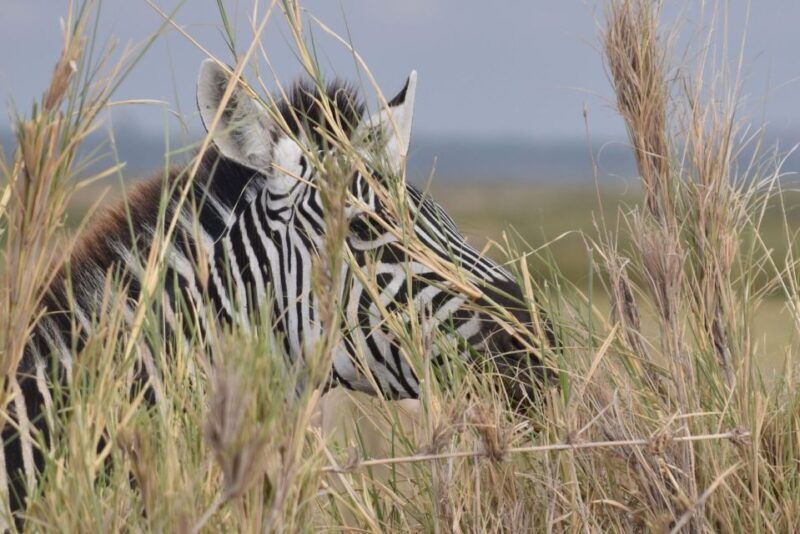 2 Days 1 Night Taita Hills - Introduction to the Taita Hills Safari Experience