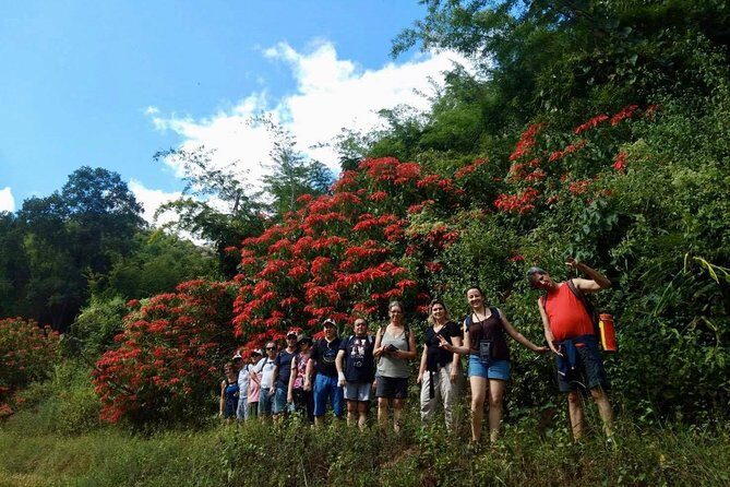 2 DAYS 1NIGHT Join Jungle Trek in Huay Nam Dung National Park - An In-Depth Look at the Jungle Trek Experience