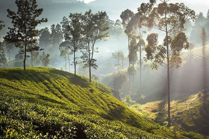 2 Days All inclusive Kandy and Nuwara Eliya Tour from Colombo - FAQs