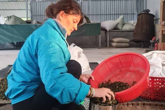 2 days Ancient Tea Tour and Real Homestay West of Ha Giang - Guide and Group Dynamics