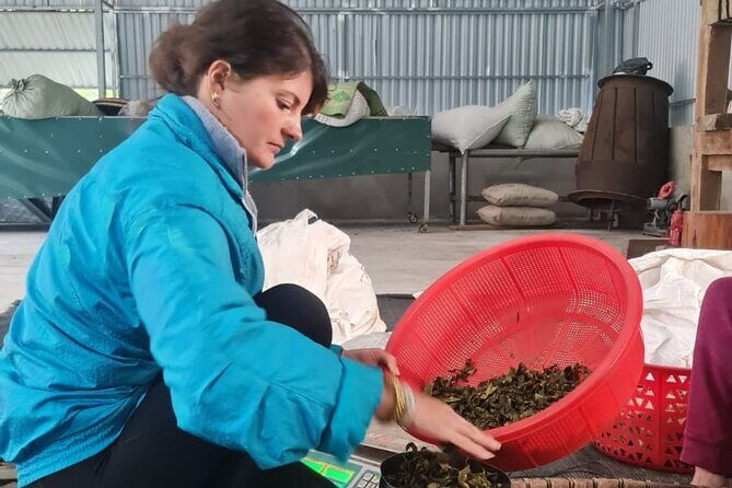 2 days Ancient Tea Tour and Real Homestay West of Ha Giang - Who Is This Tour For?