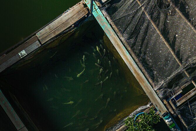 2 Days and 1 Night Bhaya Halong Serene Horizons Cruise - FAQs