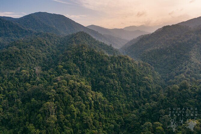 2 Days and 1 Night Ethical Jungle Trek - The Value of This Tour