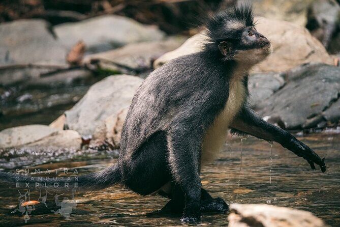 2 Days and 1 Night Ethical Jungle Trek - FAQ