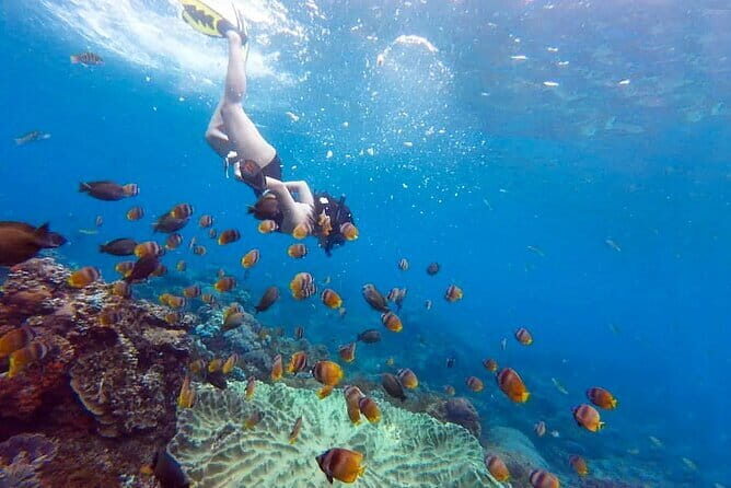 2 Days and 1 Night Private Tour with Snorkeling in Nusa Penida - FAQ