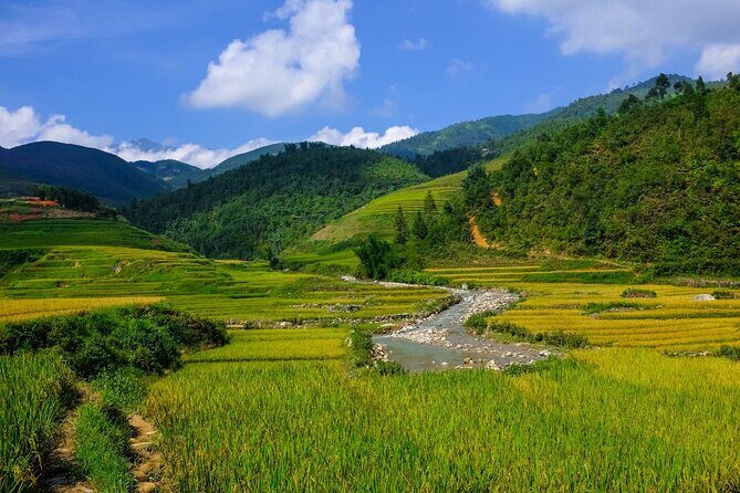 2 days authentic trekking tour in Sapa ( Homestay - Less touristy ) - Transportation, Pace, and Value