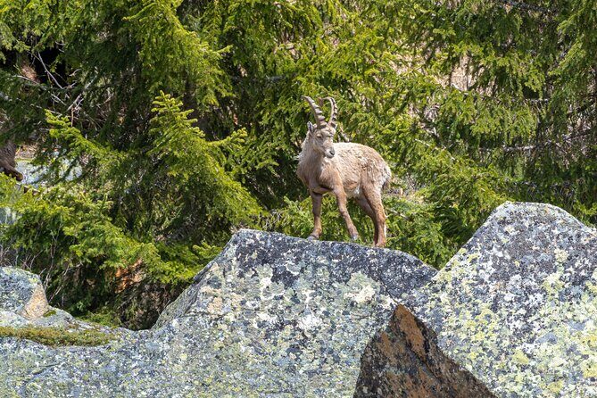 2 Days Banff and Jasper Tour : Lakes, Glaciers and Hot Springs - Final Thoughts