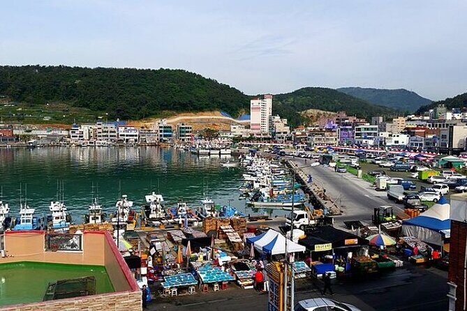 2-DAYS Busan Customized and Included Night tour - Who Will Love This Tour?
