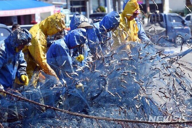 2-DAYS Busan Customized and Included Night tour - FAQ