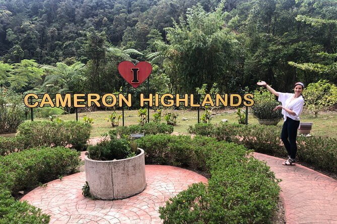 2 Days Cameron Highlands, Batu Caves & Kuala Selangor Fireflies Tour - Key Points