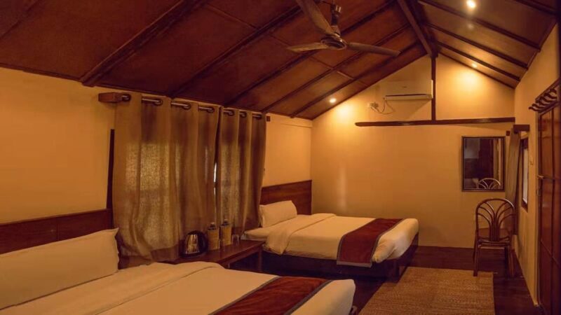 2 Days Chitwan Jungle Safari Tour from Pokhara/Kathmandu - FAQ