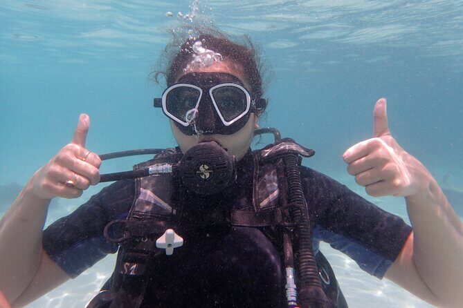 2 Days Diving Trip to Koh Tao Including 4 Dives and Accommodation - A Closer Look at the Itinerary