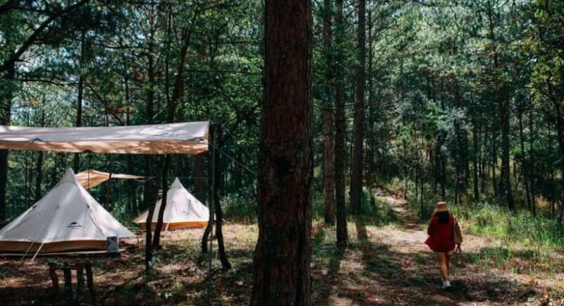 2 Days Eco Trekking Tour in Da Lat - An In-Depth Look at the 2-Day Trekking Tour in Da Lat