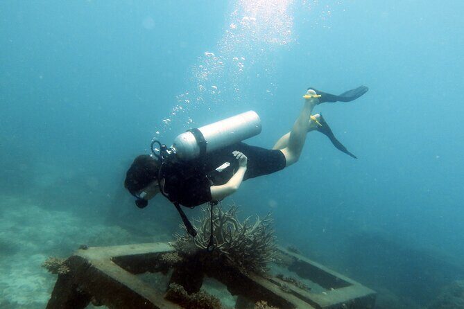 2 Days Guided Advanced Open Water Course in Thailand - Key Points