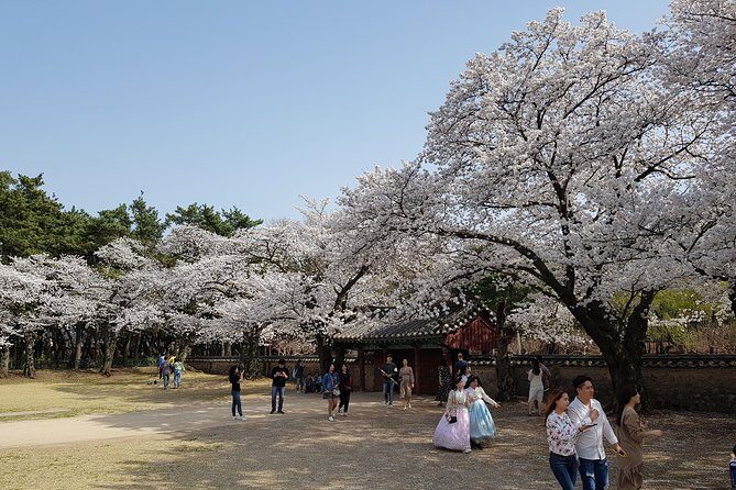 2 Days Gyeongju Private Tour from Seoul and Near Seoul - Frequently Asked Questions