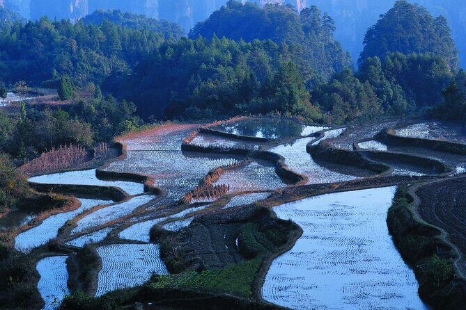 2 Days Honghe Yuanyang Hani Rice Terraces Private Tour - Practical Considerations: What You Need to Know
