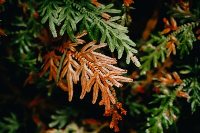 2 Days Khao Sok with Overnight at Cheow Lan Lake Raft House - Key Points