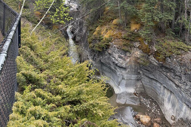 2 Days Luxury Guided Tour of Jasper National Park from Calgary - Final Thoughts