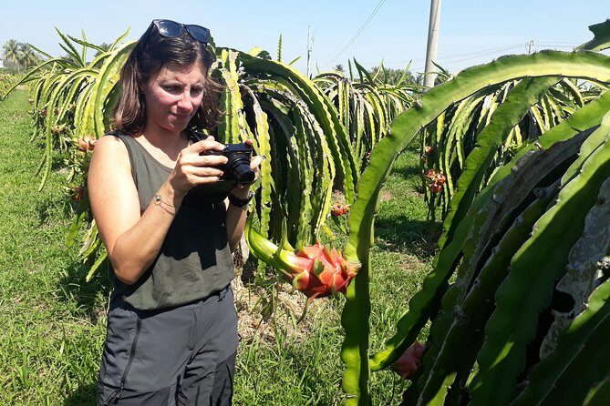 2 Days Motorbike Tour From Mui Ne To Da Lat Or Vice Versa - Key Points