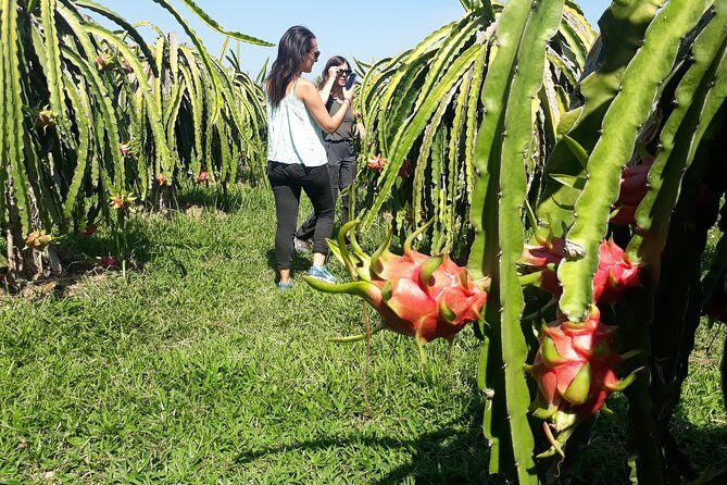 2 Days Motorbike Tour From Mui Ne To Da Lat Or Vice Versa - Authentic Experiences That Stick