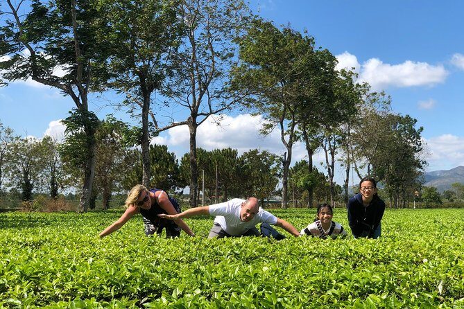 2 Days Motorbike Tour From Mui Ne To Da Lat Or Vice Versa - FAQ