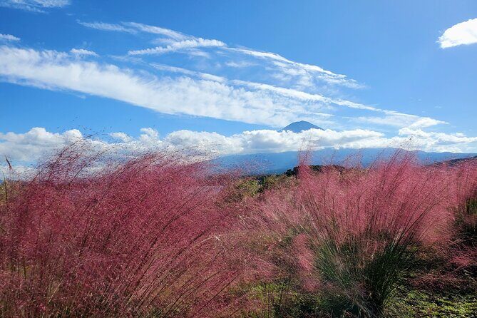 2 Days Mount Fuji and Hakone Private Tour from Tokyo Customizable - FAQ