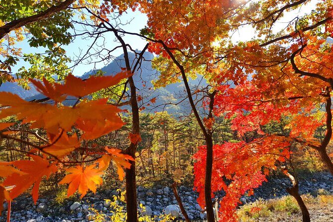 2-days: Mt Seorak, East Sea(Naksansa) & Nami or Ulsanbawi Hiking - The Sum Up