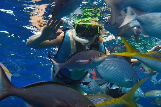 2-Days of Private Jamaican Excursions (All Inclusive) - Who Will Love This Tour?