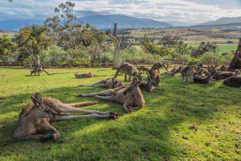 2 Days of Tasmania's Best - FAQs