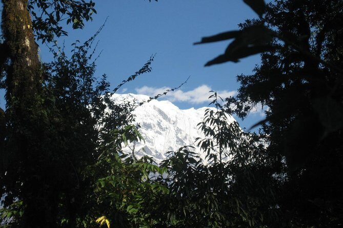 2 Days Panchase Hill Trekking - Introduction: Why Consider the Panchase Hill Trek?