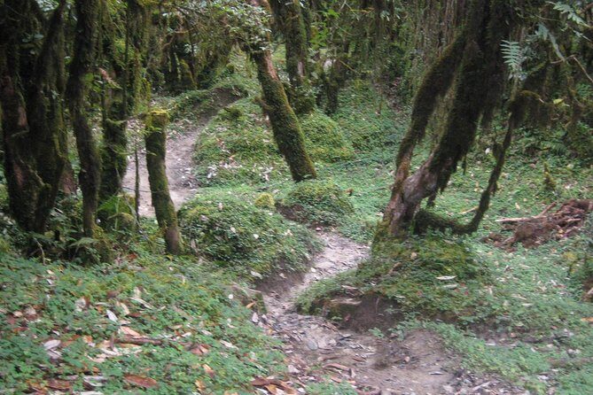 2 Days Panchase Hill Trekking - Final Thoughts: Is This Trek Right for You?