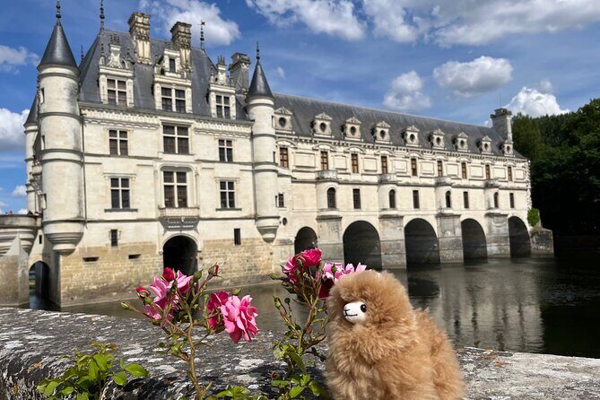 2-Days Private Guided Tour in Loire Valley Castles & Wine Tasting - The Value of Flexibility and Personalization