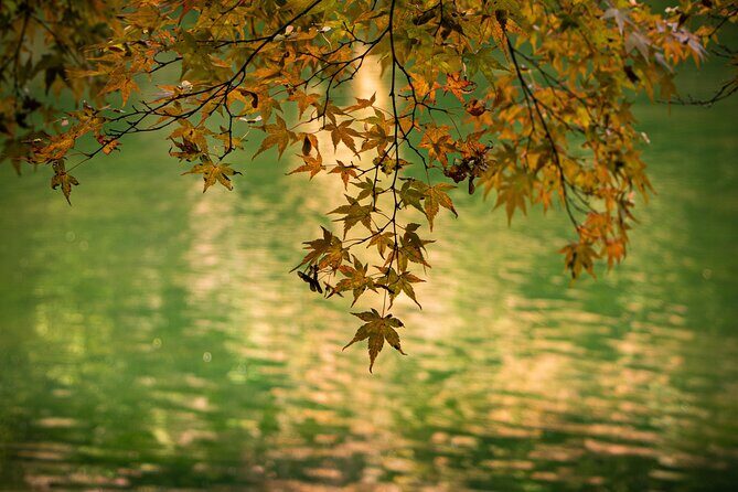 2 Days Private Luxury Zen Tour Temple stay - What others say