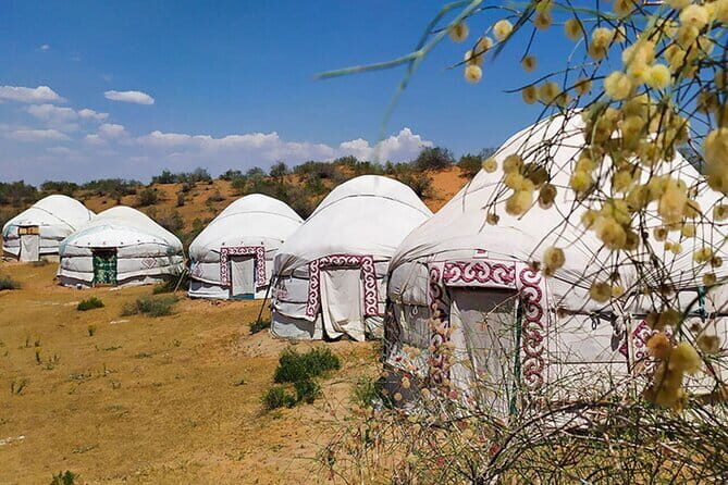 2 Days Private Safari Tour from Bukhara - The Sum Up: Is This Tour for You?