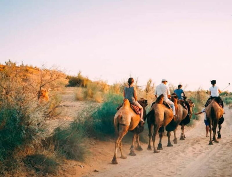 2 Days Private Safari Tour from Bukhara - What’s Included and What’s Not