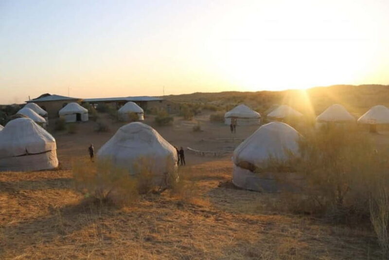 2 Days Private Safari Tour from Bukhara - Authenticity, Comfort, and Value