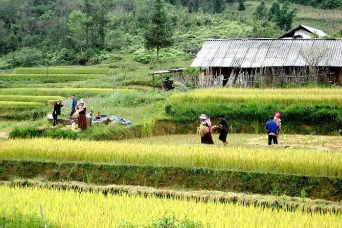 2-Days Private Sapa Adventure in Fansipan Peak and Amazing Village - Who should consider this tour?