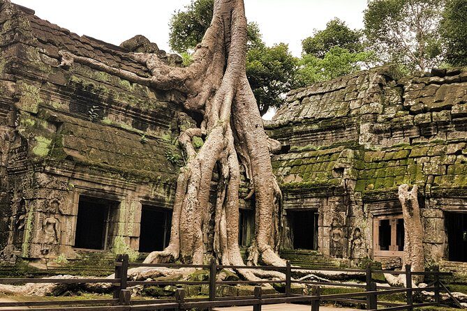 2-Days Private Tour in Angkor Sunrise, Banteay Srei and Beng Mealea Temple - Who Will Love This Tour?