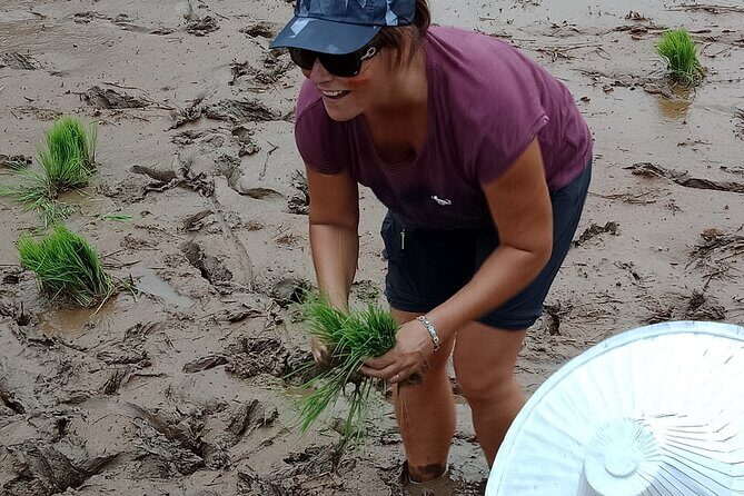 2 Days Private Tour to See Bull Race and Raflesia Arnoldi Flower - Key Points