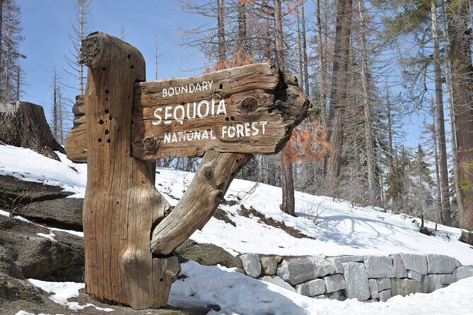 2 Days Private Tour to Sequoia and Kings Canyon Parks from LA - A Deep Dive into the 2-Day Sequoia and Kings Canyon Adventure