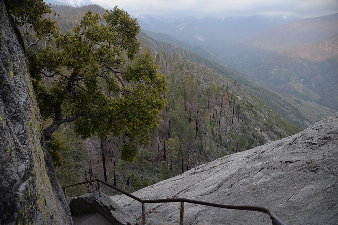 2 Days Private Tour to Sequoia and Kings Canyon Parks from LA - FAQ